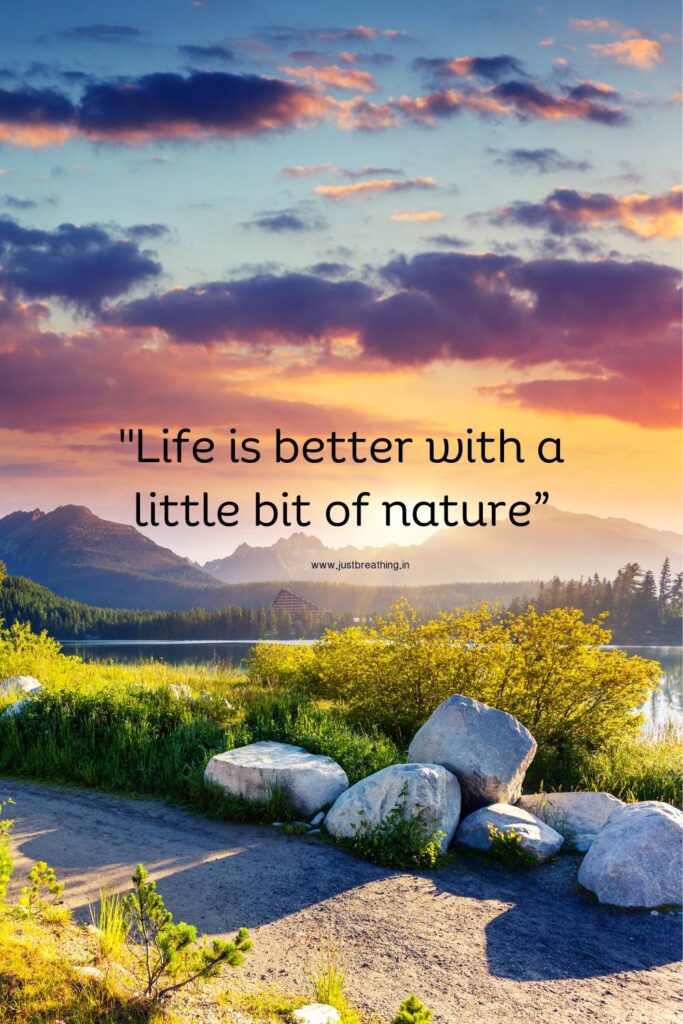 Nature Quotes About Life Nature Quotes About Life
