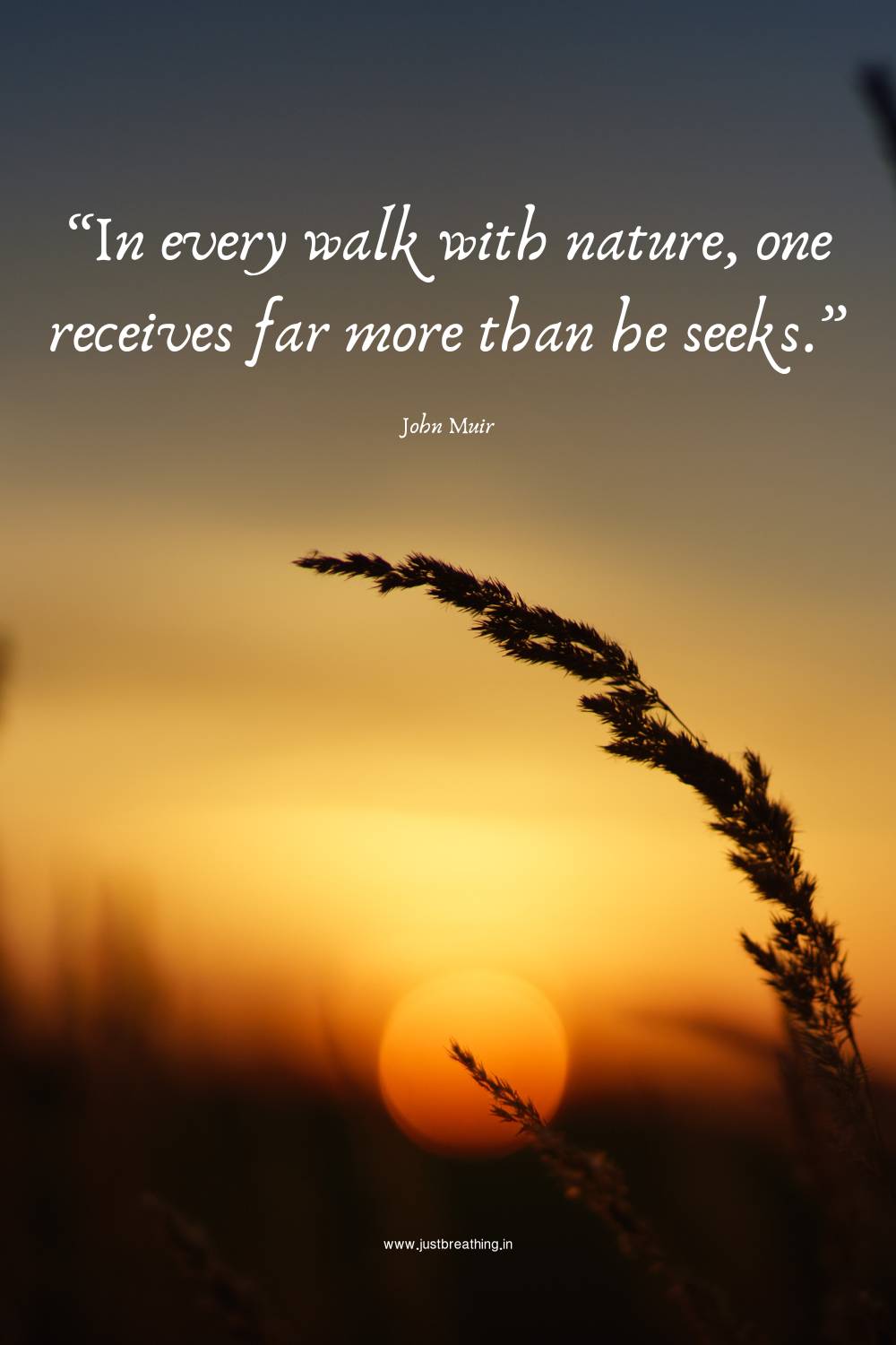 Short Nature Captions for Instagram - Law of Nature is Healing Quotes