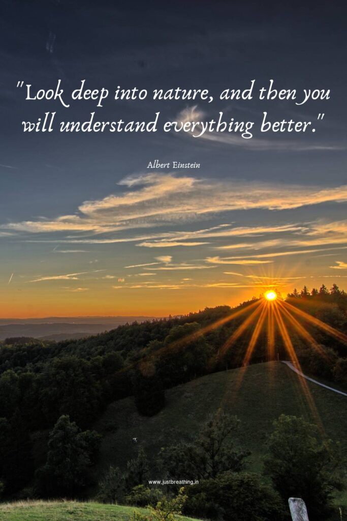 Jolly Nature Quotes Ten Best Nature Quotes Jolly Nature Quotes Ten Best Nature Quotes